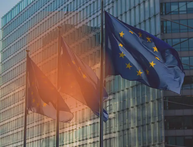 EU Representative Service for GDPR Compliance | FGND Core Europe